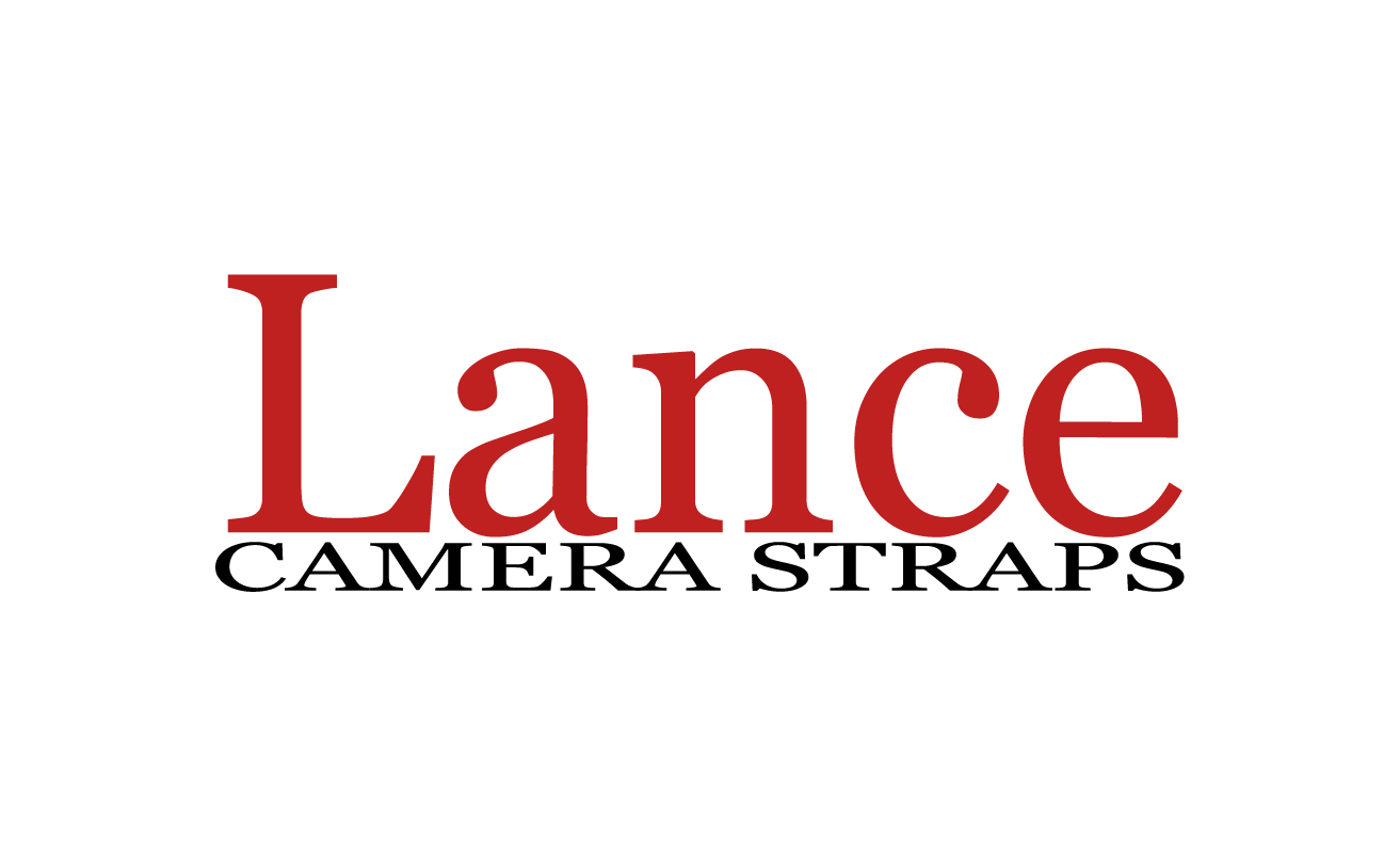 Distribution lines | 銀一株式会社